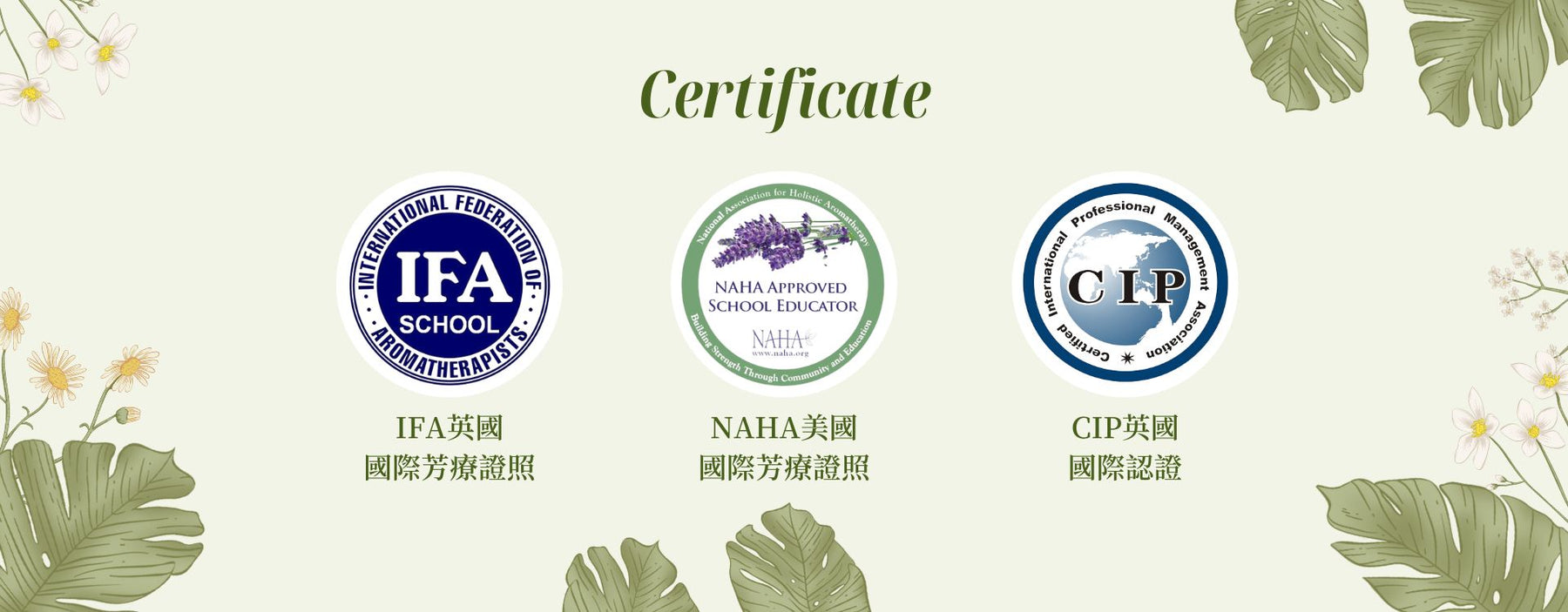 APDD美容運動協會｜瑜珈師資培訓｜泌乳師證照課程｜專業培訓與認證